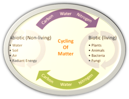 CYCLINGOF MATTER