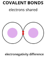 Unit 14: Covalent Bonding