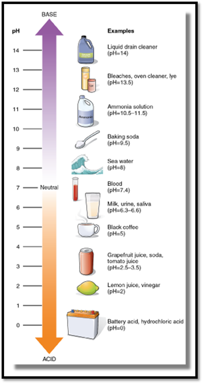 Below is an example of a pH scale.