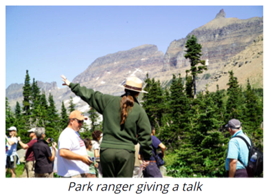 Skills and Qualifications