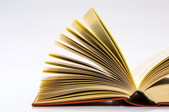 book read open wing leaf reading yellow paper page material education ...
